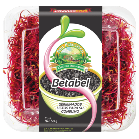 Germinados Gourmet-Germinado de betabel – Cultivos Naturales San Francisco