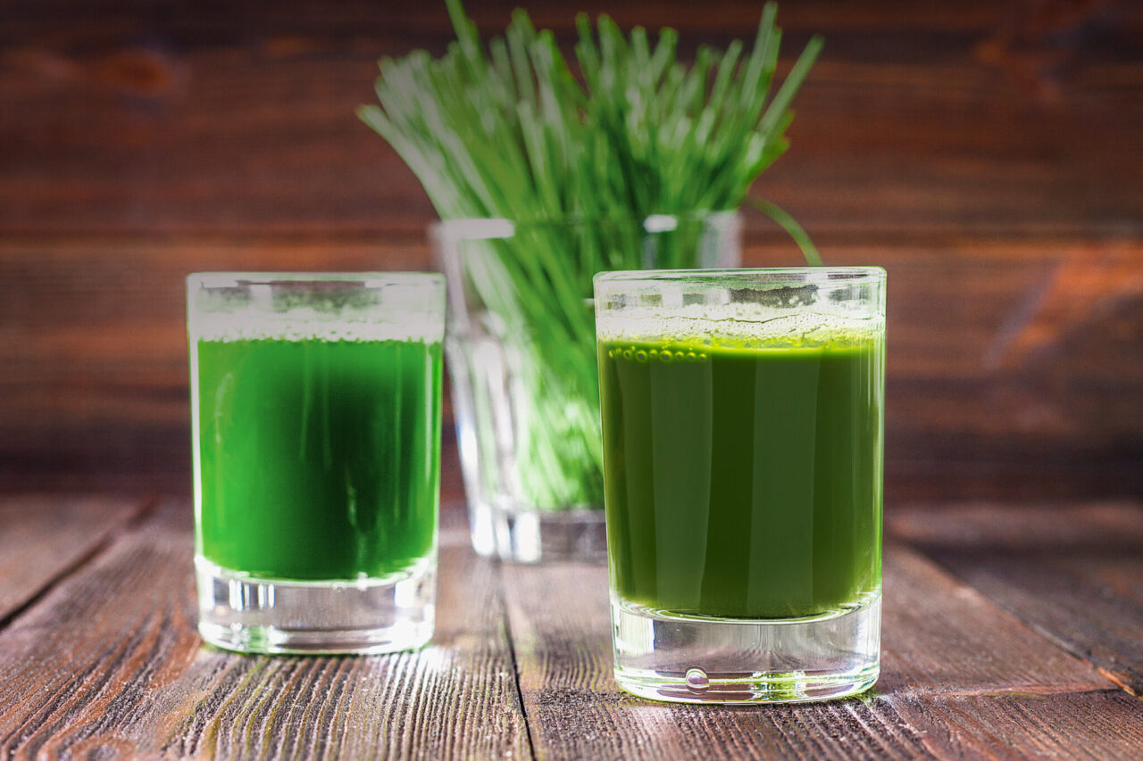 PASTO DE TRIGO UNA MARAVILLA NATURAL CON GRANDES BENEFICIOS PARA TU ...